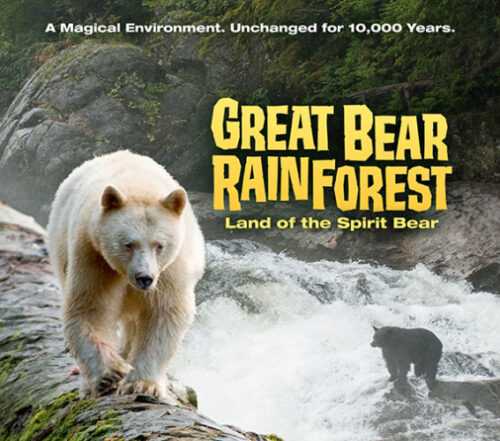 Great Bear Rainforest