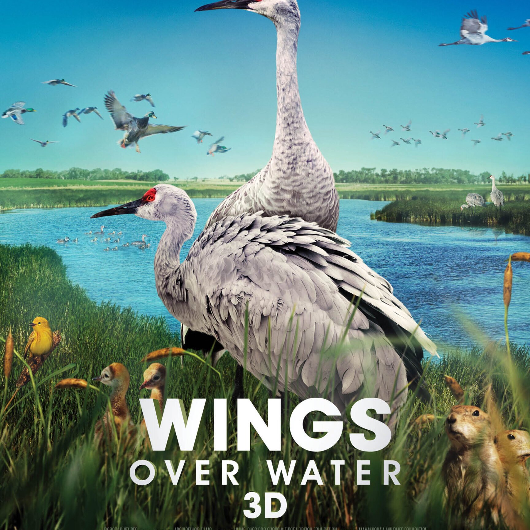 Wings Over Water - Whitaker Center